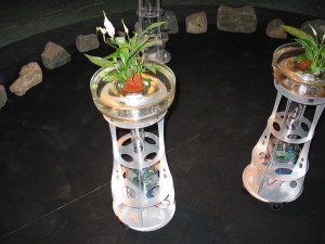 Augmented Fish Reality – Ken Rinaldo