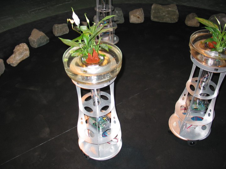 Augmented Fish Reality – Ken Rinaldo