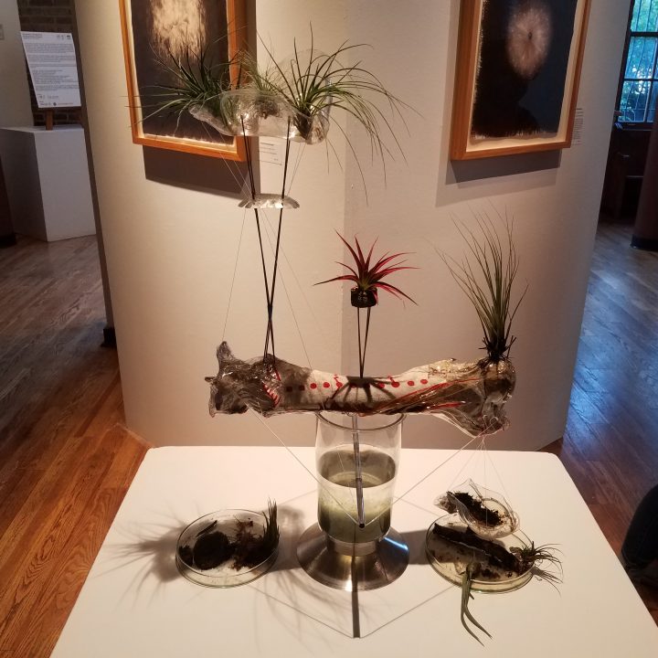 Artworks – Ken Rinaldo