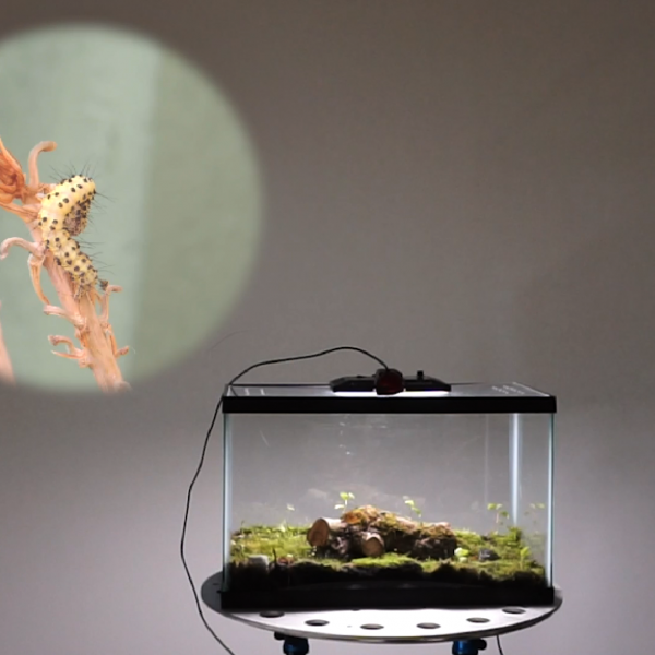 Ken Rinaldo – The coevolution of the biological and technological cultures